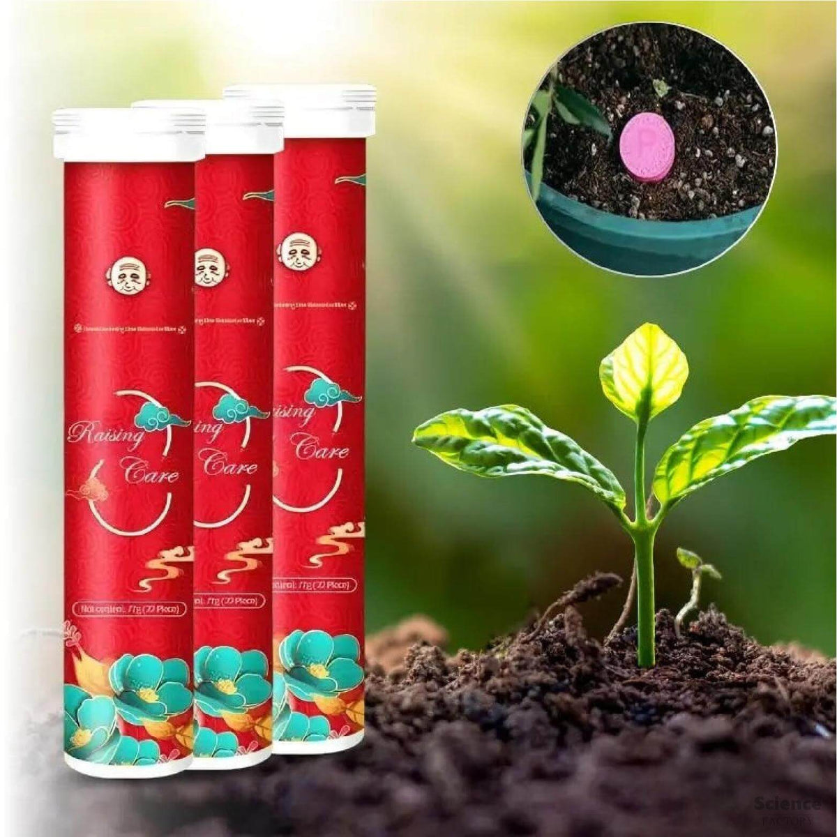 PlantPower™ – Engrais Organique Premium à Libération Prolongée pour un ...