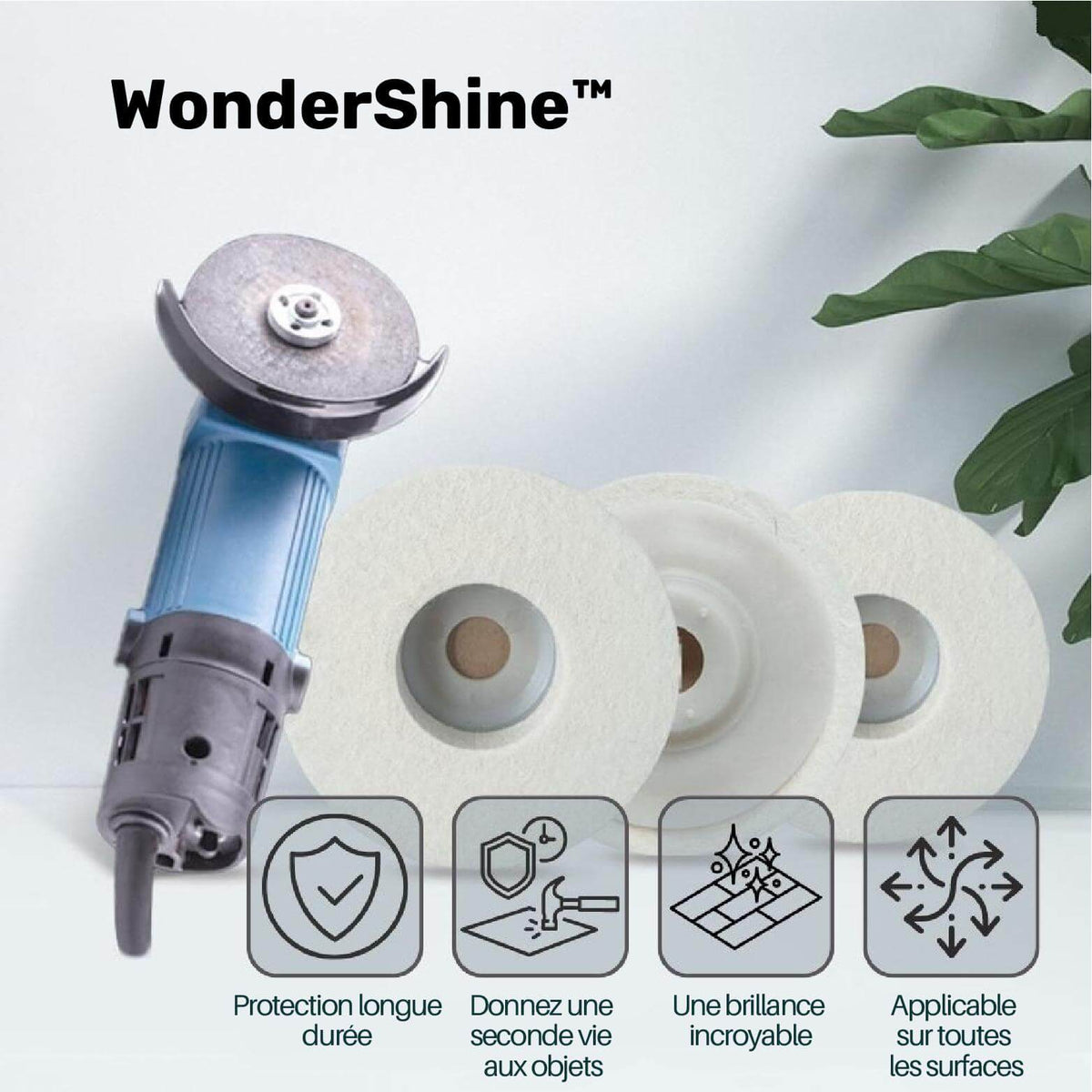 WonderShine™ - Confère une sensation de luxe à chaque surface – Science ...